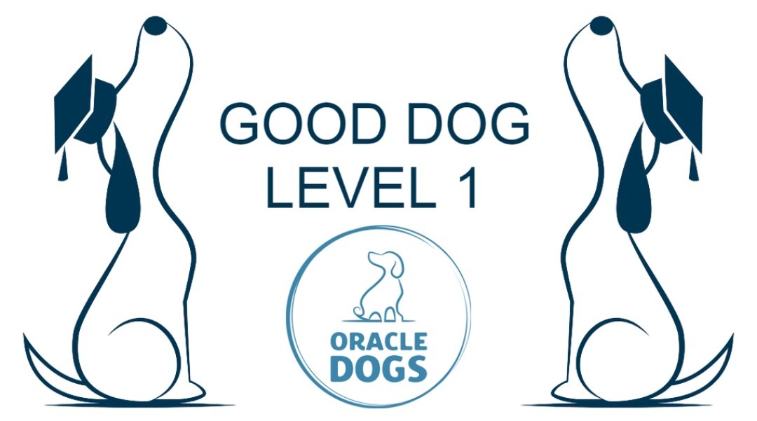 Home - Oracle Dogs